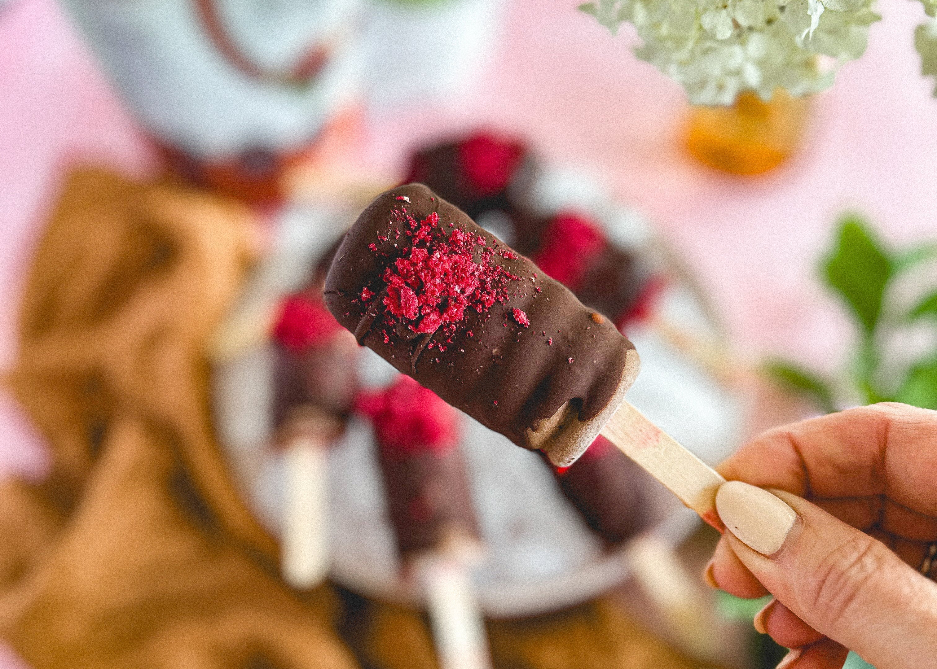 Magnum Chocolate-Raspberry Pops – RAW Nutritional